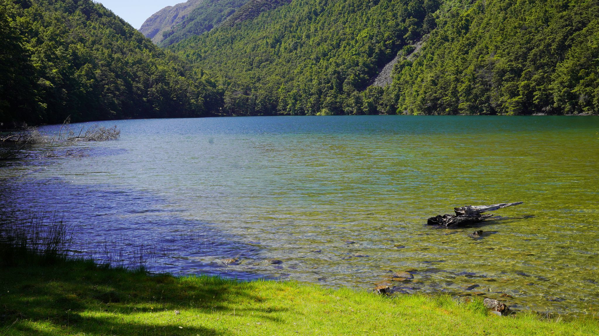 New Zealand photos -- J.S. Milne