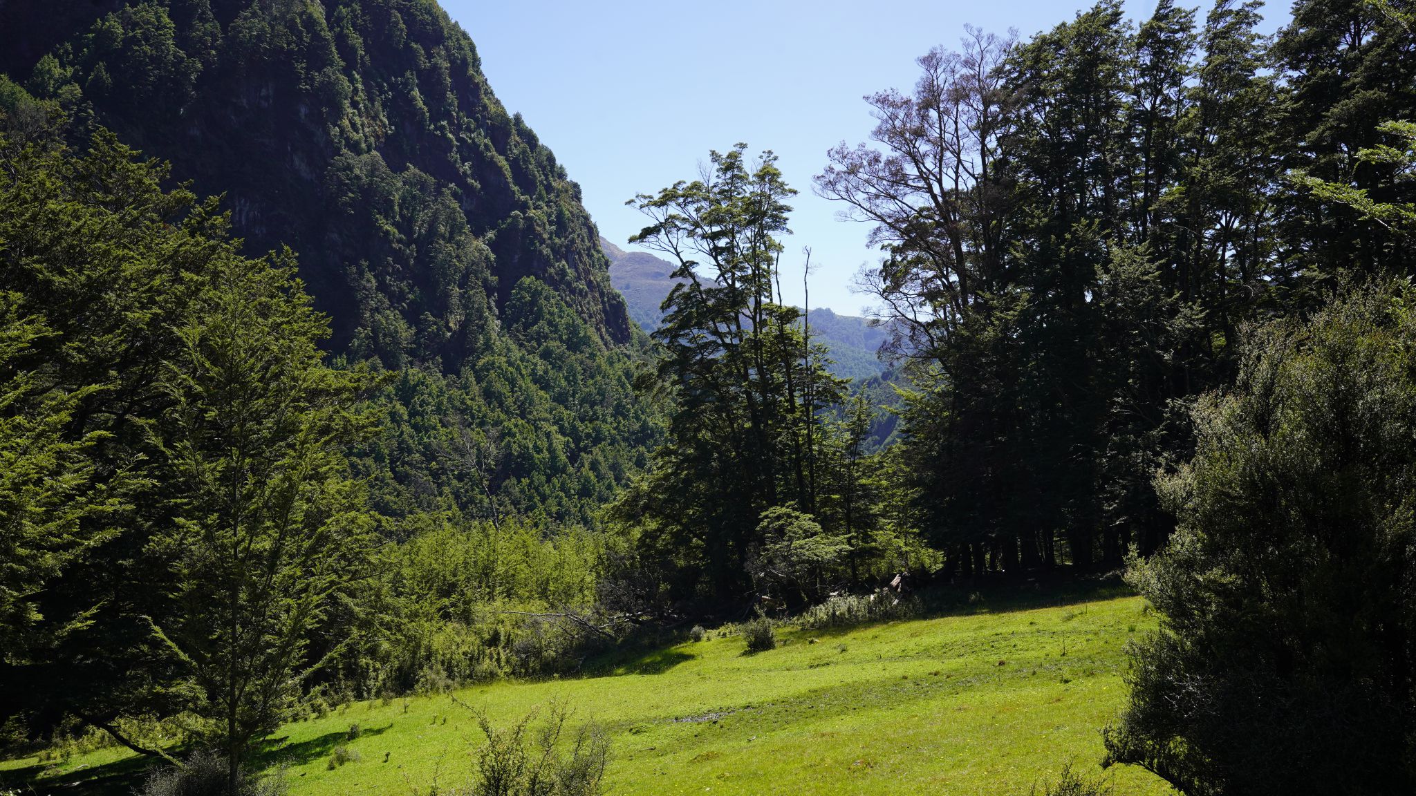 New Zealand photos -- J.S. Milne