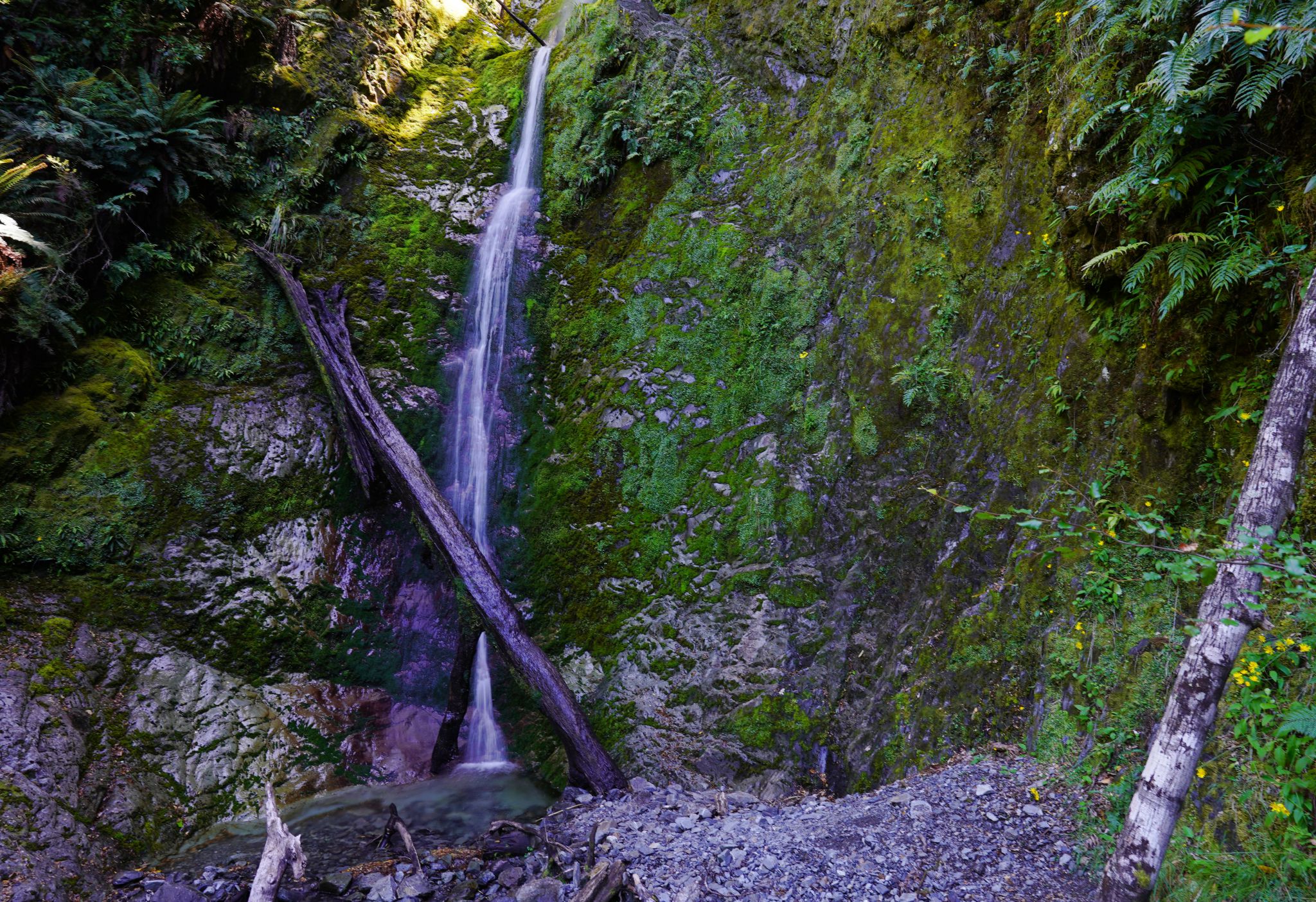 New Zealand photos -- J.S. Milne