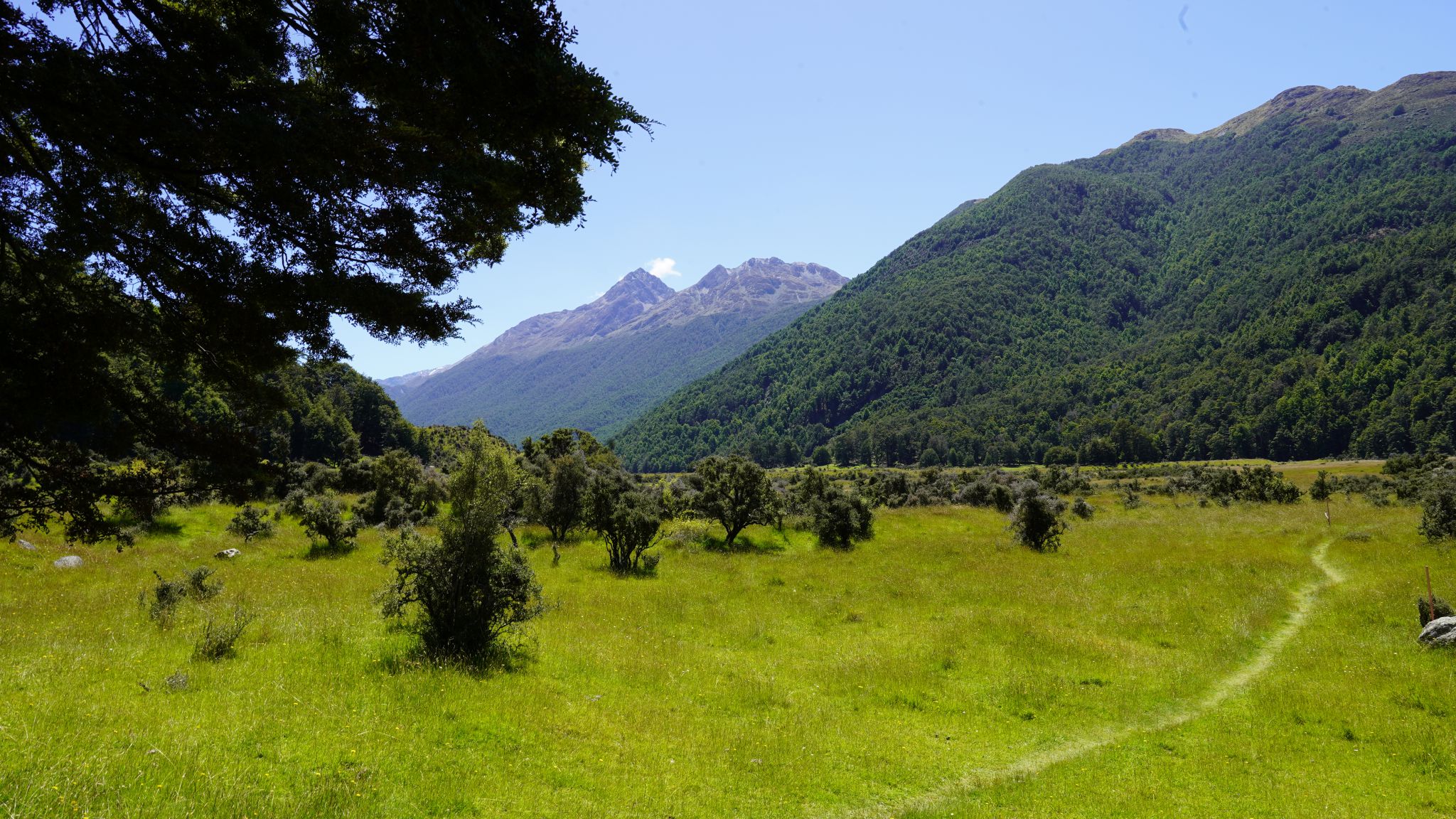 New Zealand photos -- J.S. Milne